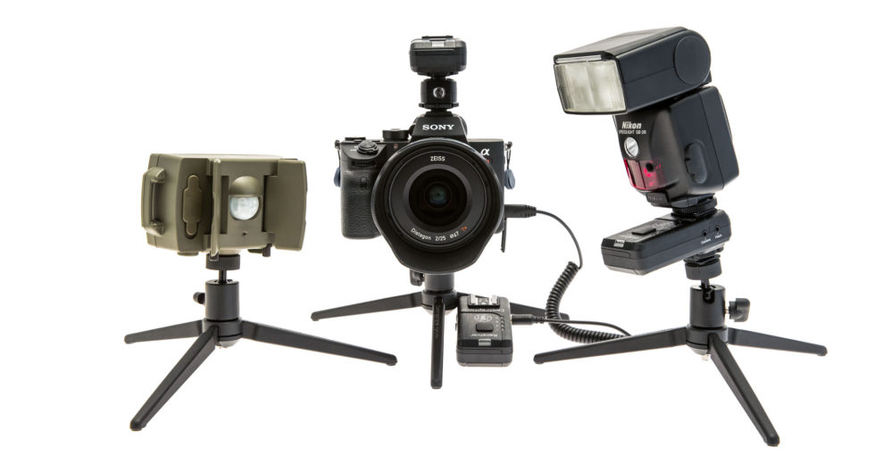 Camera Traps - Will Burrard-Lucas